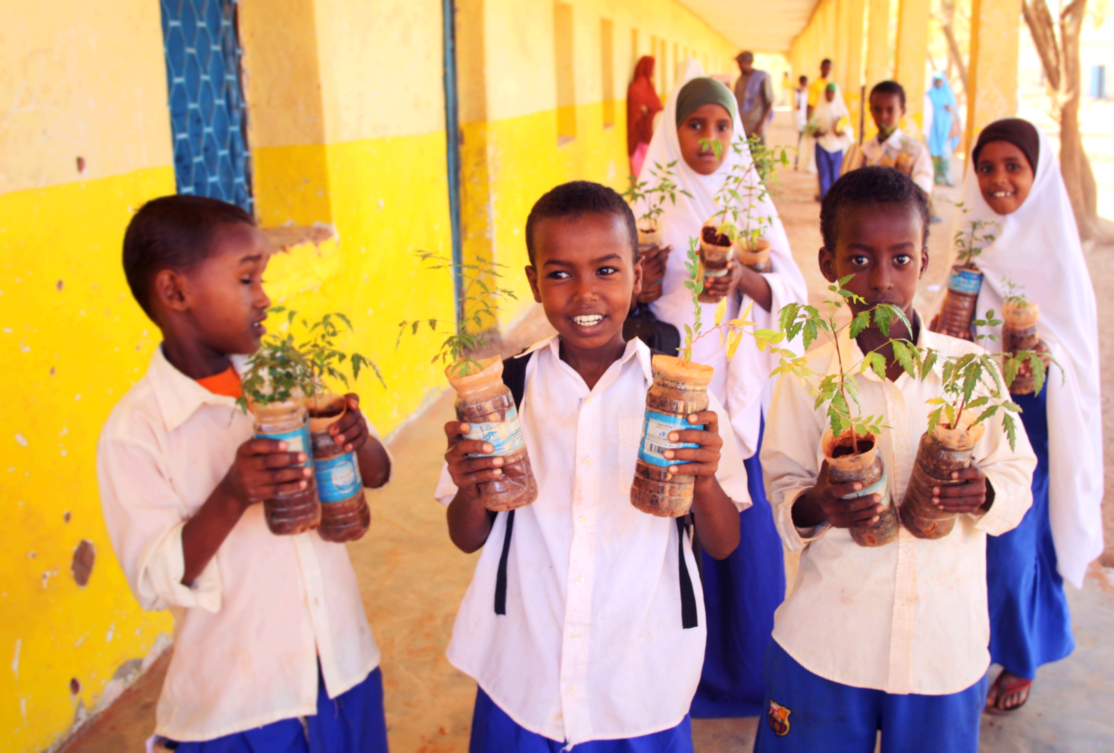 20,000 Trees to Somalia